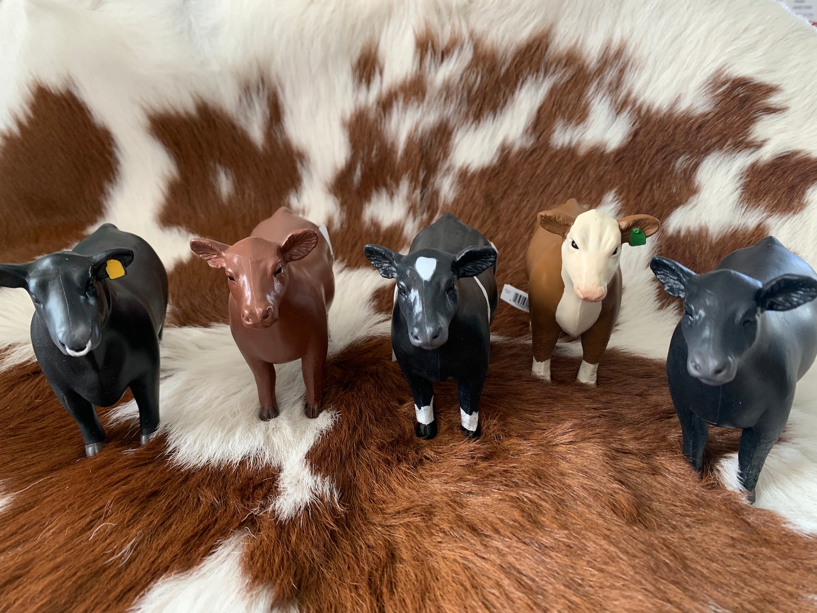 Little Buster Farm Animals - Got Show Cattle - Etsy