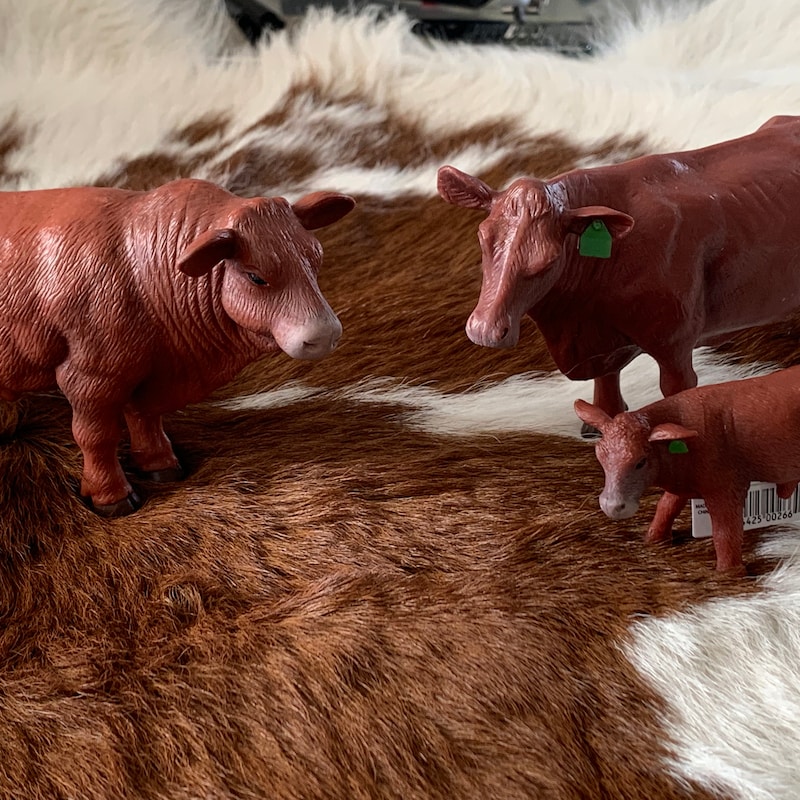 Toy Cows - Etsy