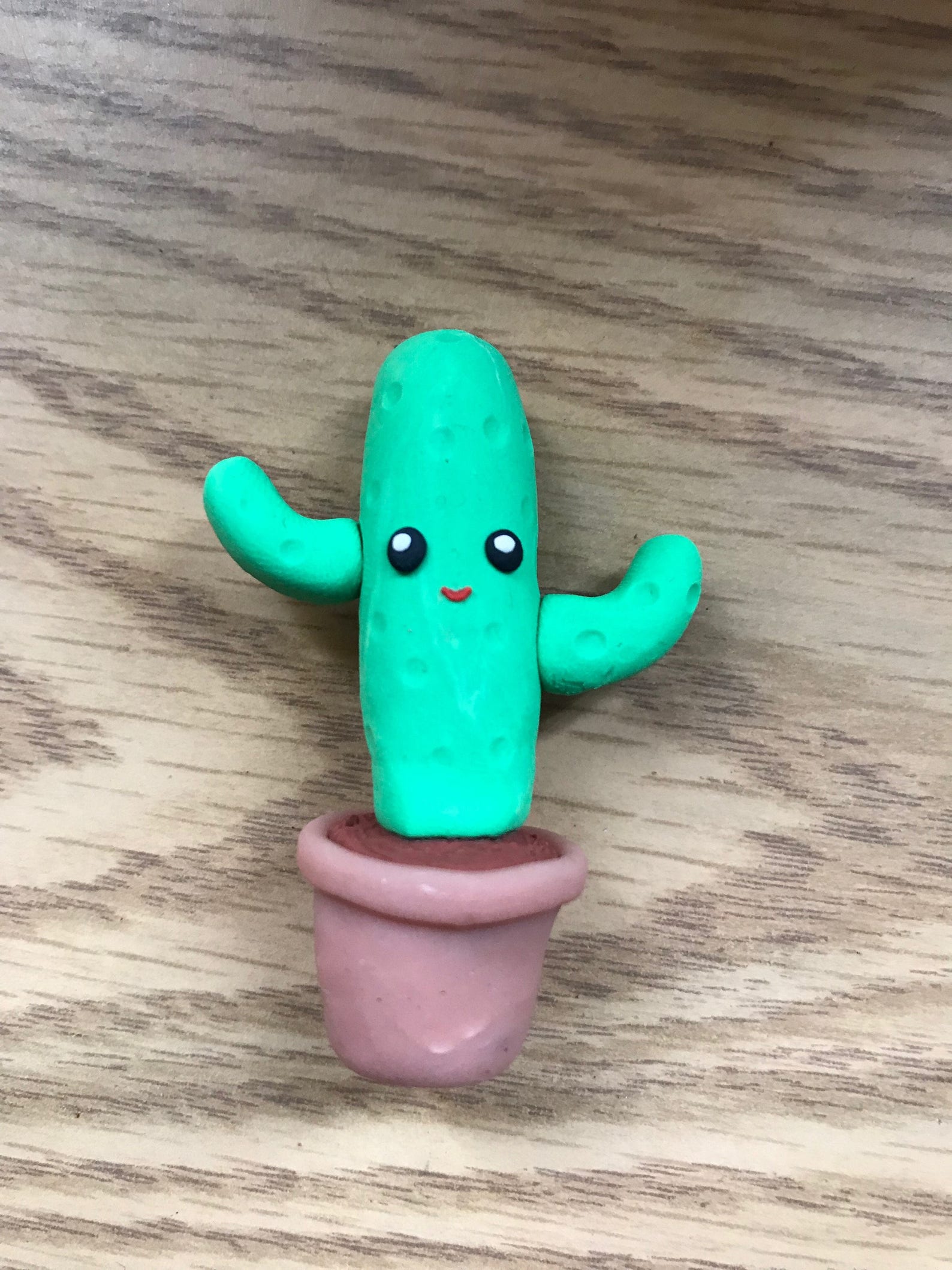 Polymer Clay Cactus - Etsy