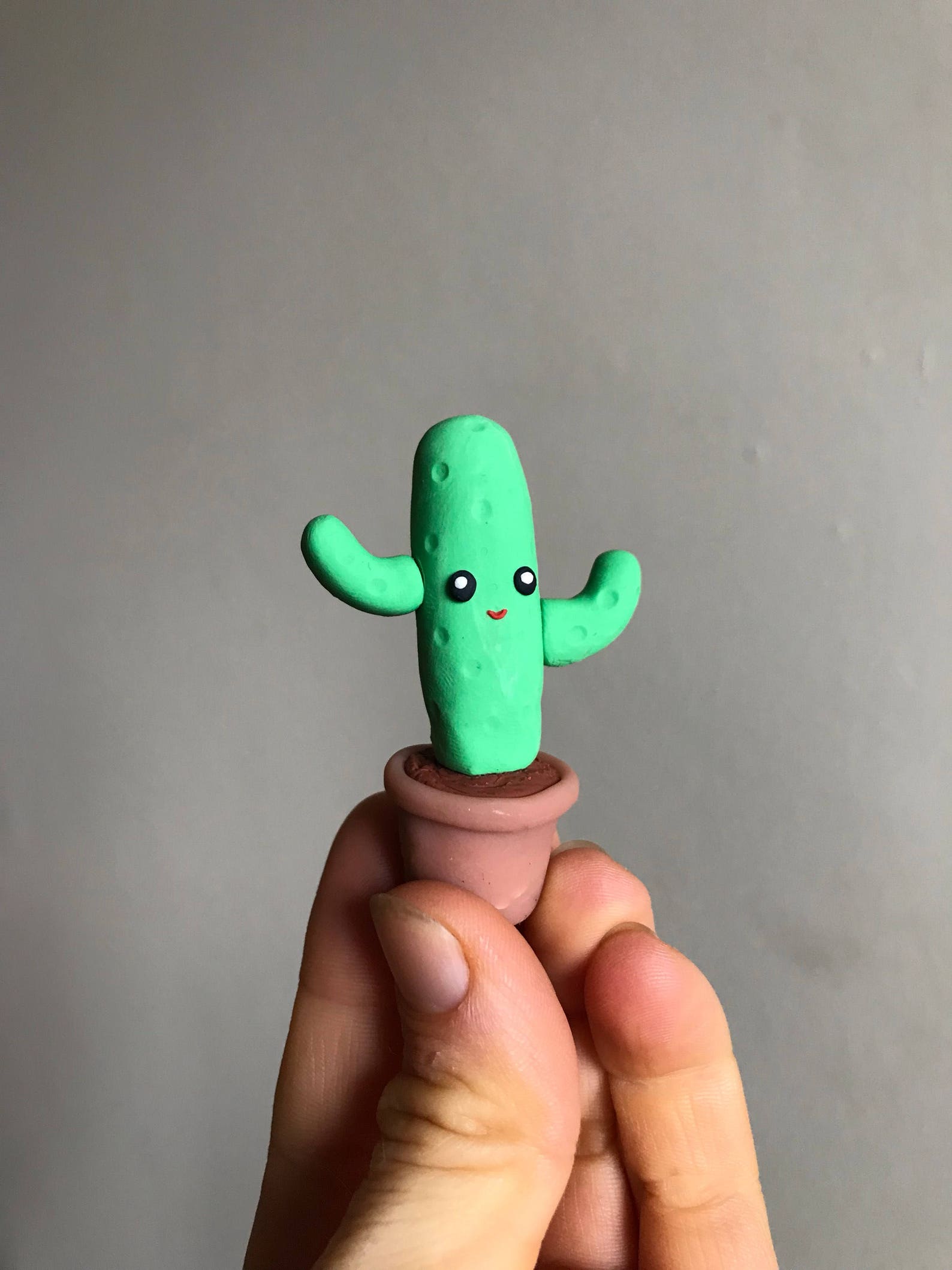 Polymer Clay Cactus - Etsy