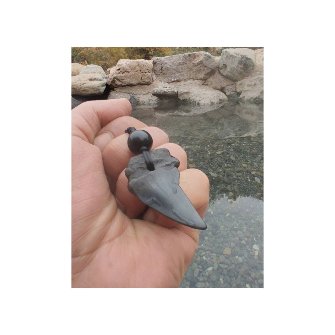 Opalized and Obsidian Mako Shark Tooth. Powerful Talisman Africa - Etsy UK