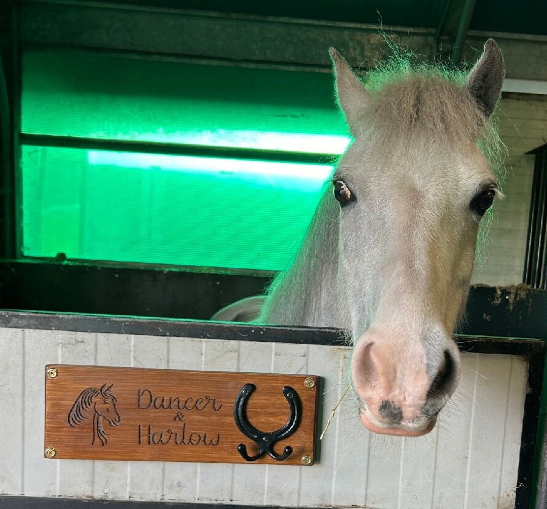 40x14cm. Personalised Horse Stable Sign With Horseshoe Coat, Bridal ...