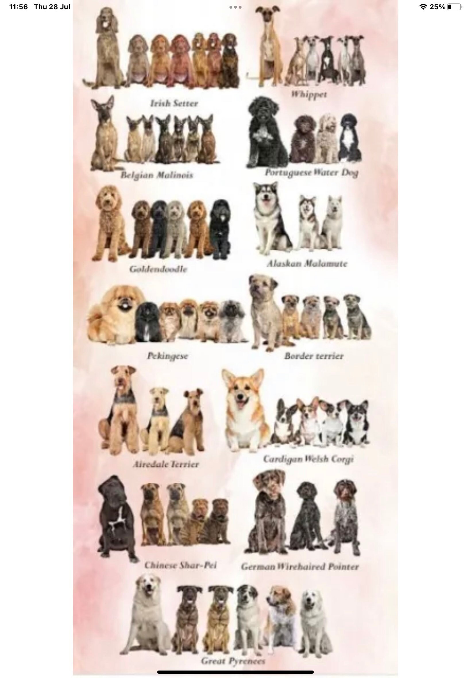 Personalised Garden Sign Metal 28x20cm Add up to Two Dogs - Etsy UK