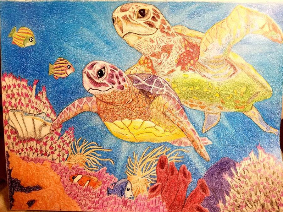 Drawing of Sea Turtles by Marcy Lee Colored Pencils Ocean Nature Coral ...
