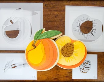 Peach 783-855 Stencil - Etsy