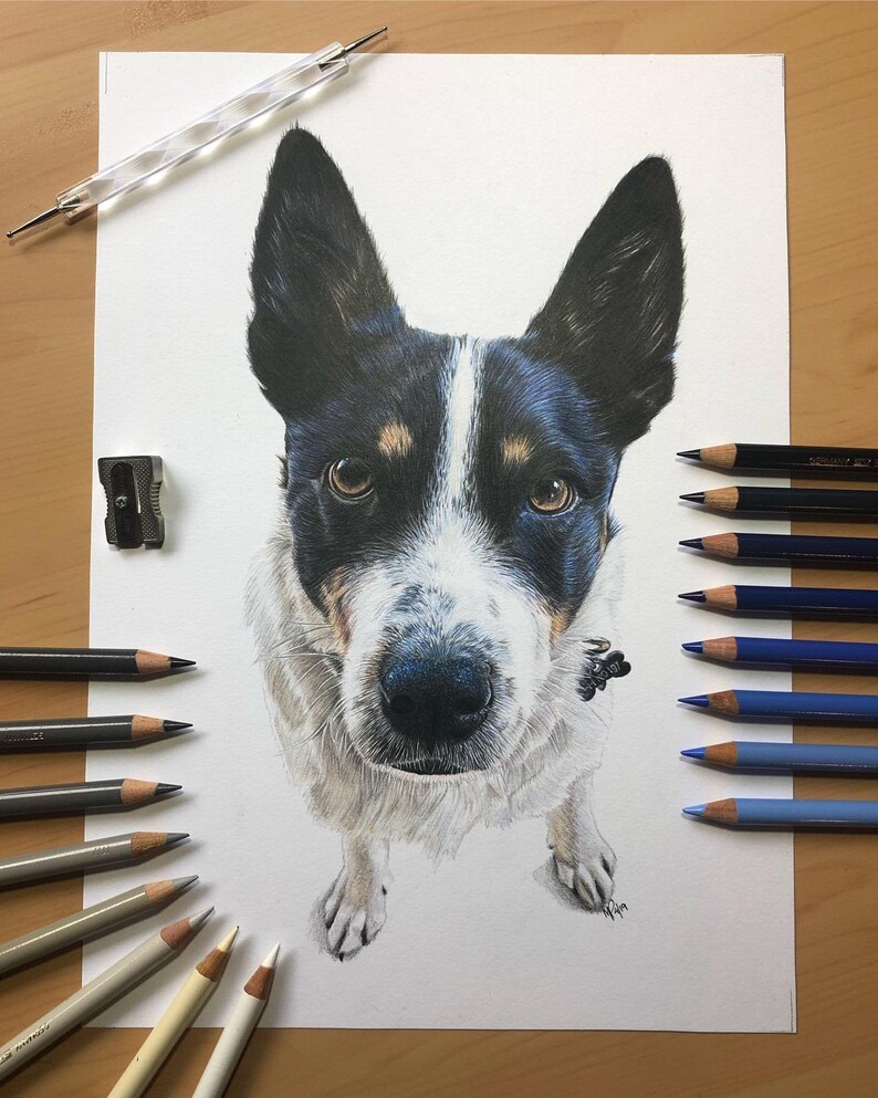 Pet Portrait Drawing Pet Memorial Dog Portrait Cat - Etsy