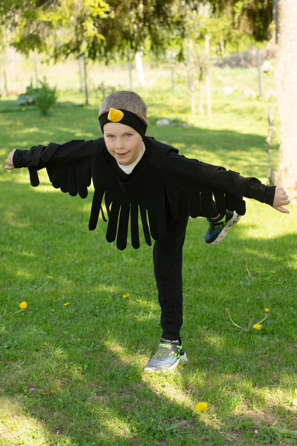 Black Bird Costume | Carnival Costume | Halloween Costume | Bird Wings ...