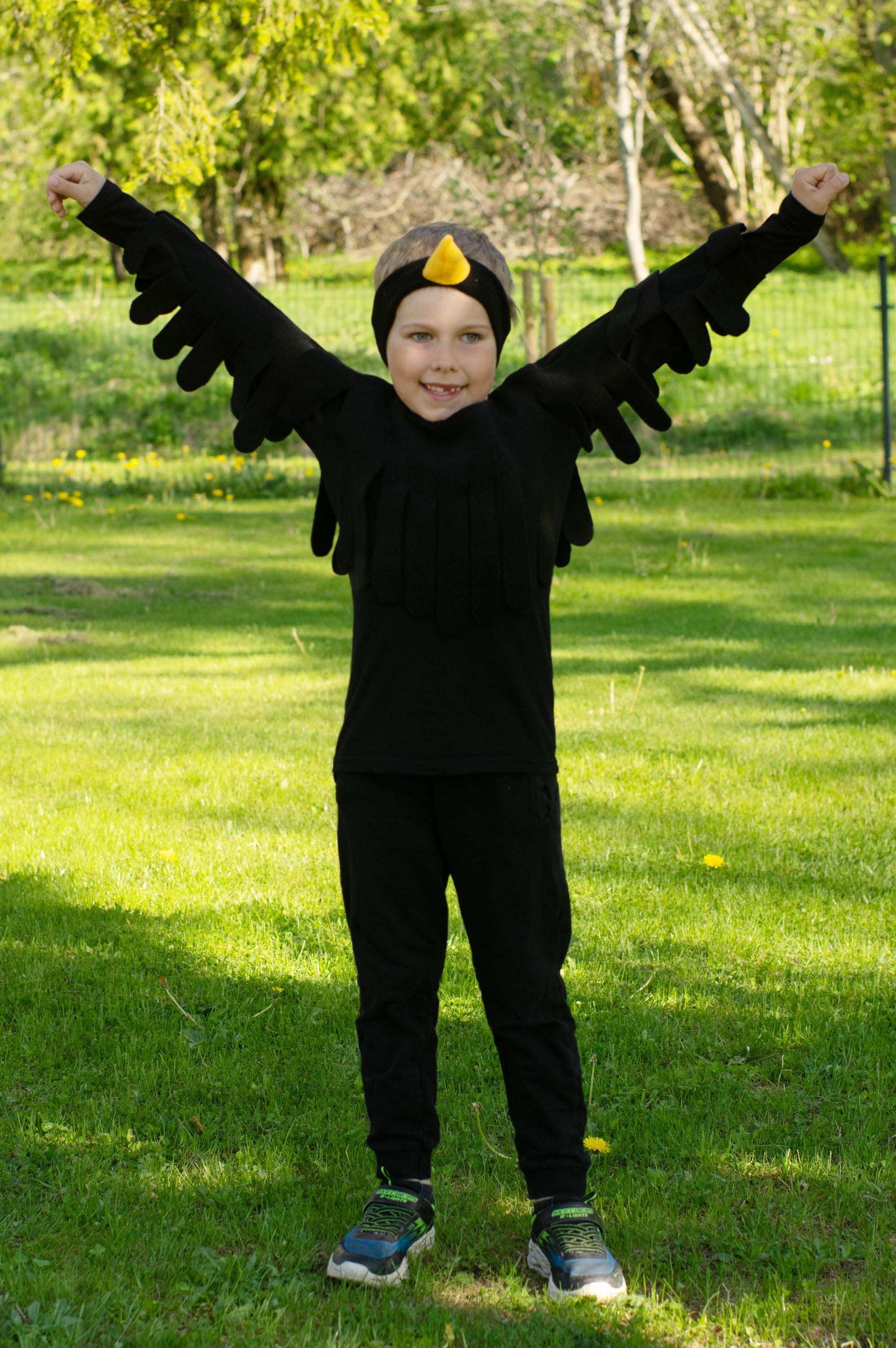 Black Bird Costume | Carnival Costume | Halloween Costume | Bird Wings ...
