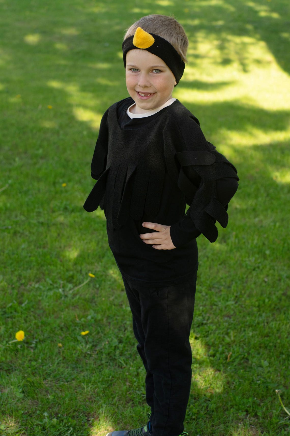 Black Bird Costume | Carnival Costume | Halloween Costume | Bird Wings ...