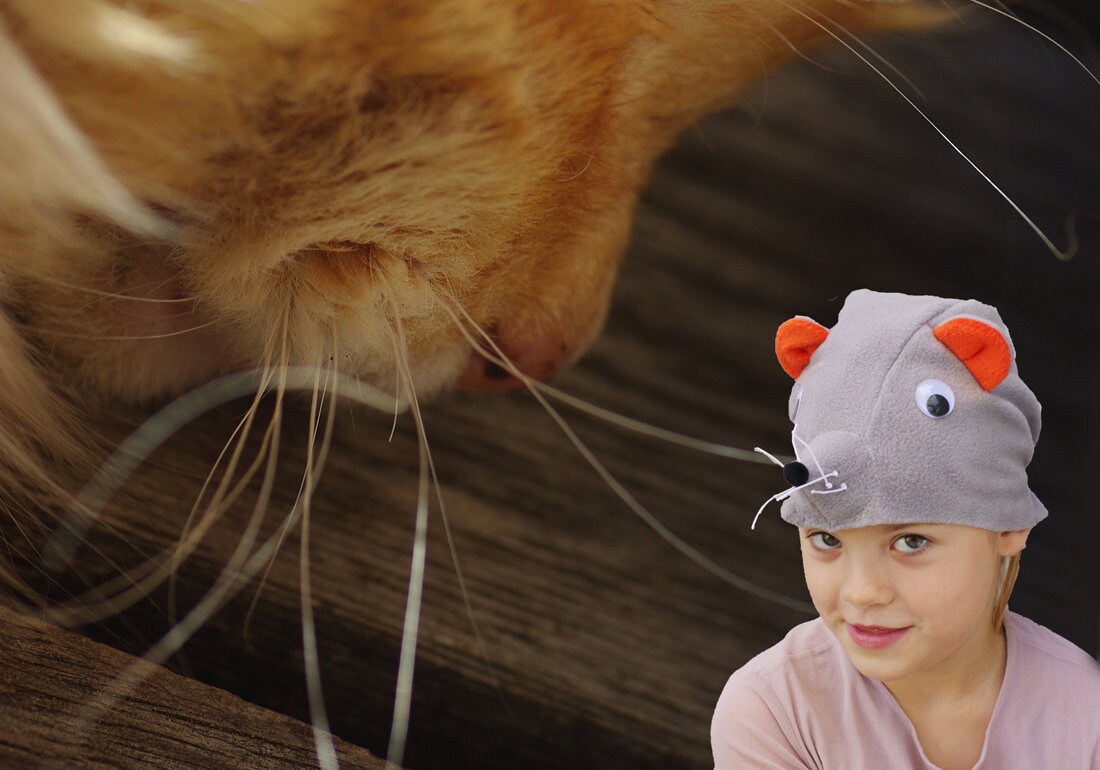 Mouse Costume Hat for Girls Animal Carnival Costume Hat - Etsy
