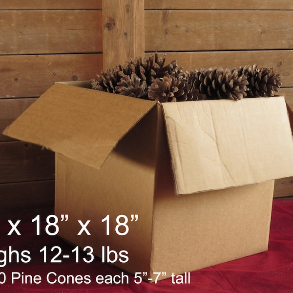 Pine Cone Decor - Etsy