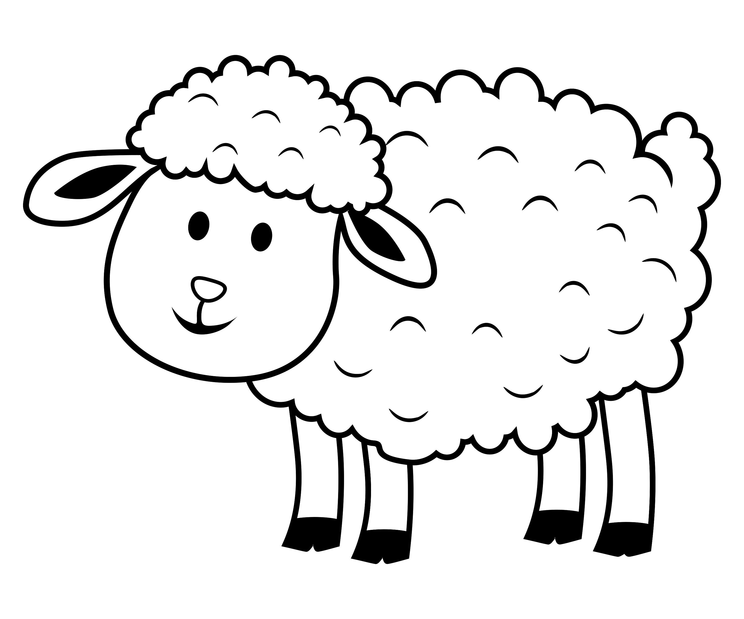 Digital Files,sheep,svg,eps,adobe Illustrator,pdf,sticker,cut Files ...