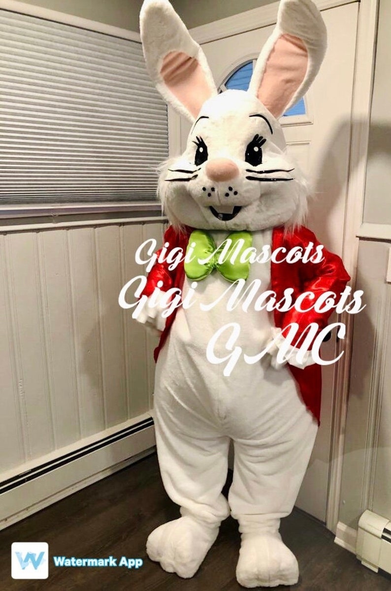 New Professional Easter Bunny Mascot Costume and Many More - Etsy
