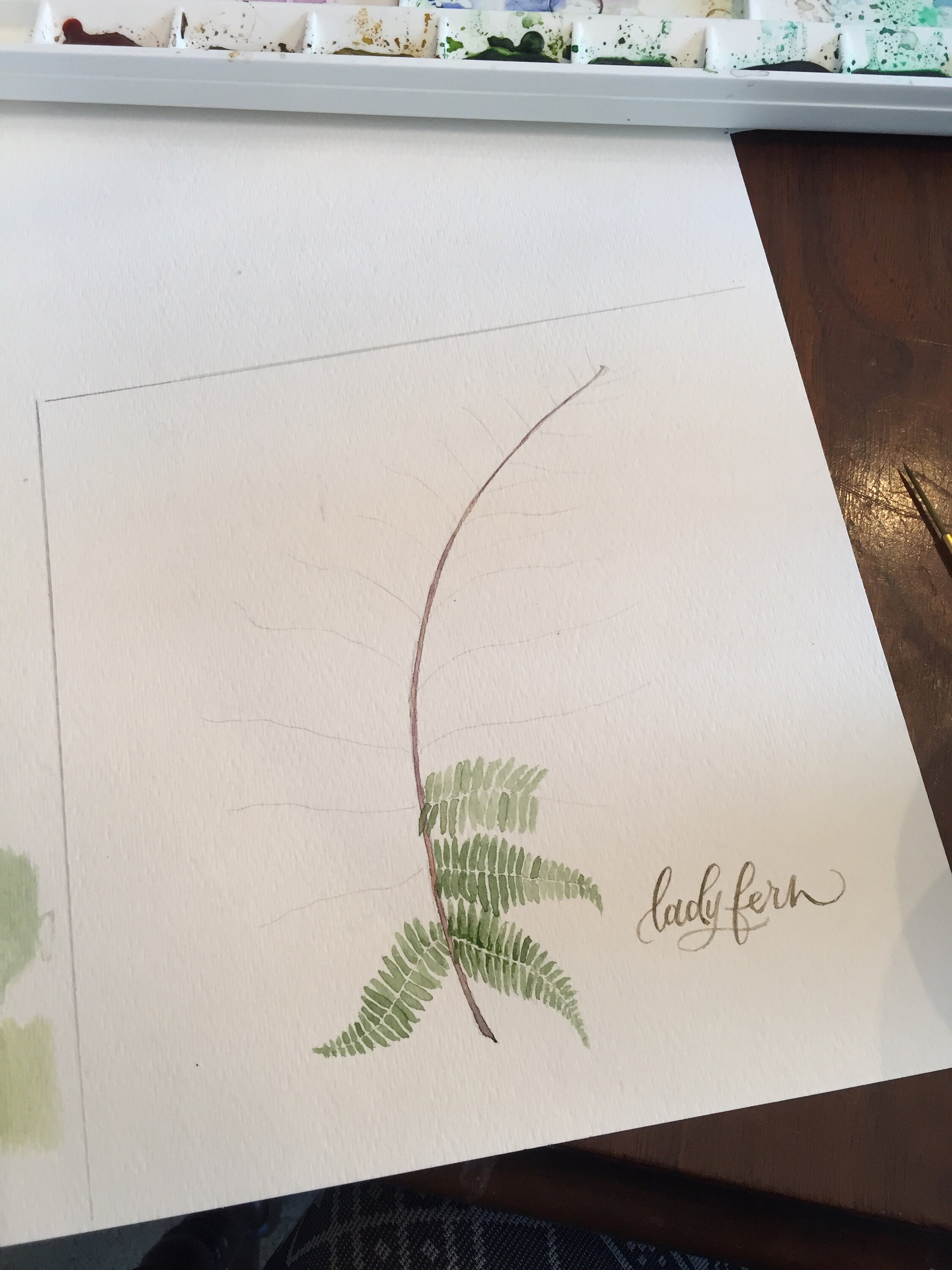 Lady Fern Floral Botanical Illustration Digital Print - Etsy