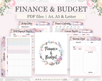 Financial Planner Printable Happy Planner Inserts Budget | Etsy