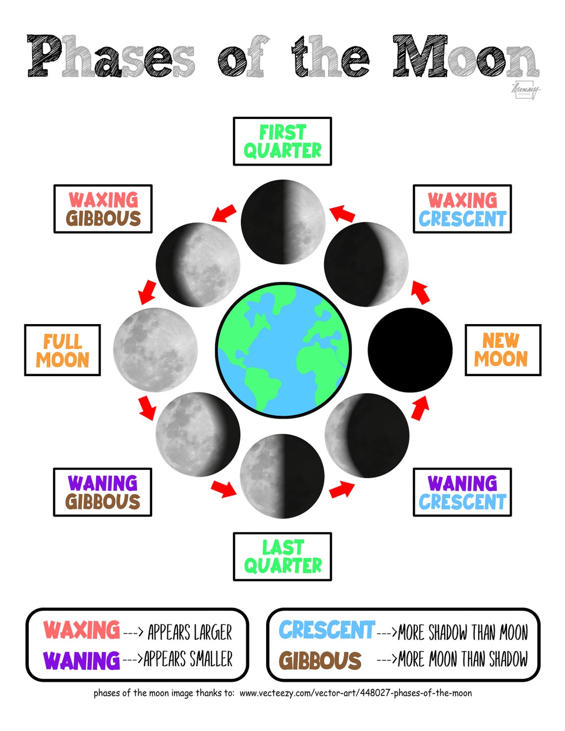 Phases of the Moon | Anchor Chart | Spinner | Colored & Black and White ...