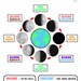 Phases of the Moon | Anchor Chart | Spinner | Colored & Black and White ...