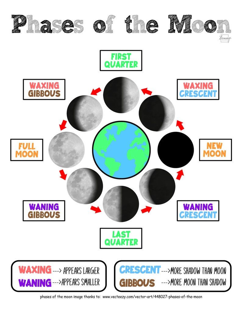 Phases of the Moon | Anchor Chart | Spinner | Colored & Black and White ...