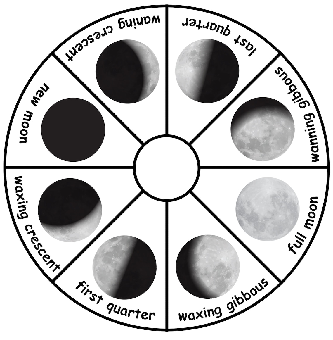 Phases of the Moon | Anchor Chart | Spinner | Colored & Black and White ...