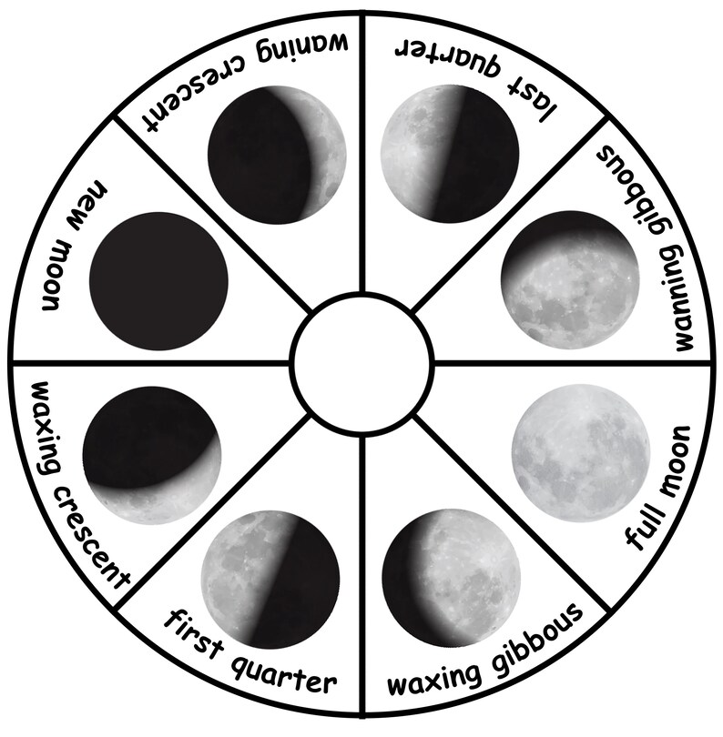 Phases of the Moon | Anchor Chart | Spinner | Colored & Black and White ...