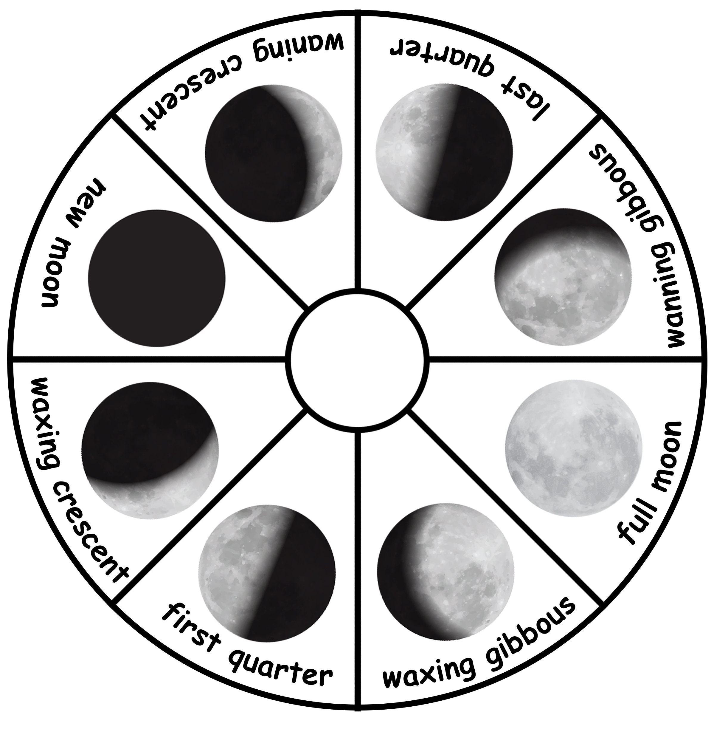 Phases of the Moon | Anchor Chart | Spinner | Colored & Black and White ...