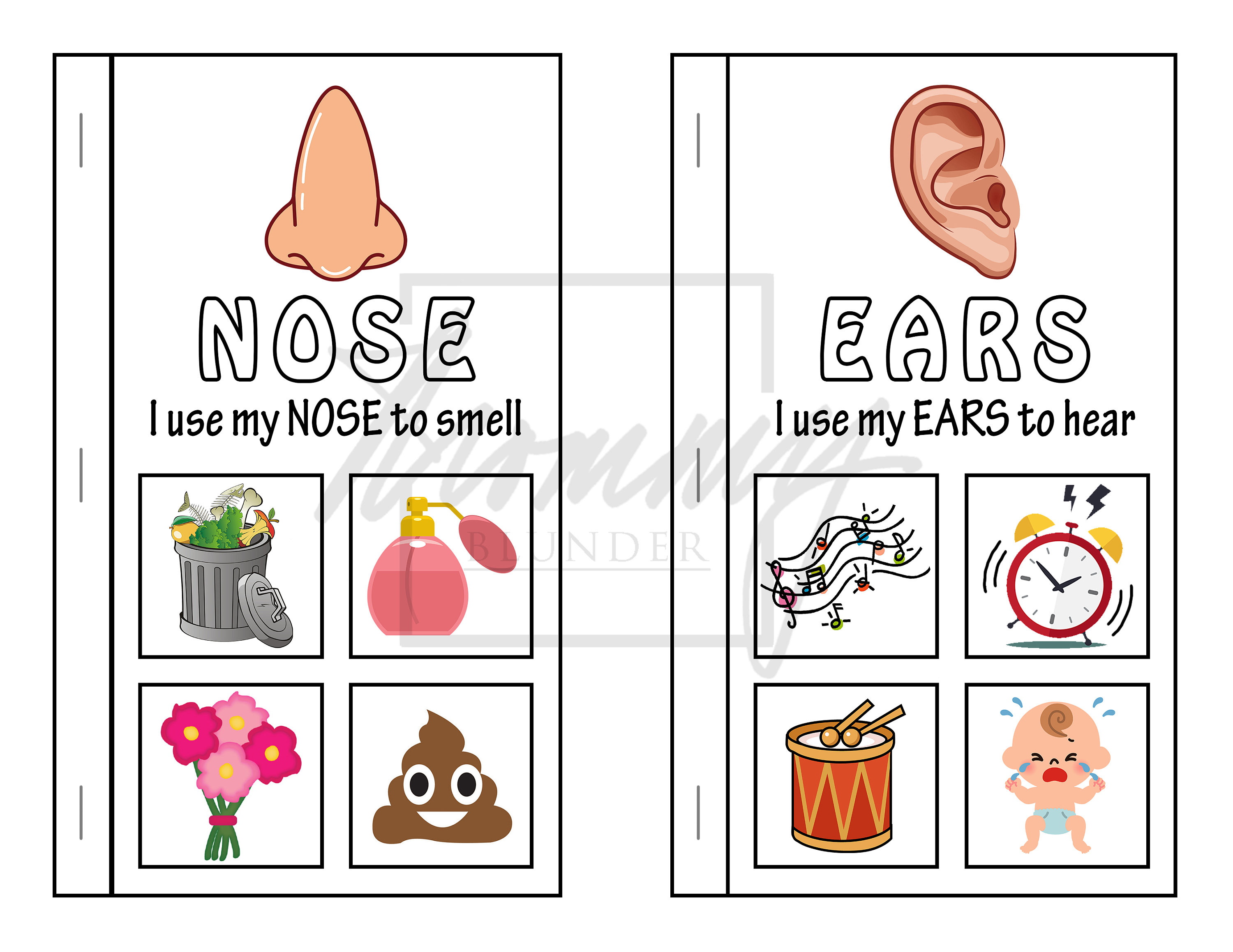 My 5 Senses Mini Book Bonus Anchor Chart Learning About - Etsy Australia