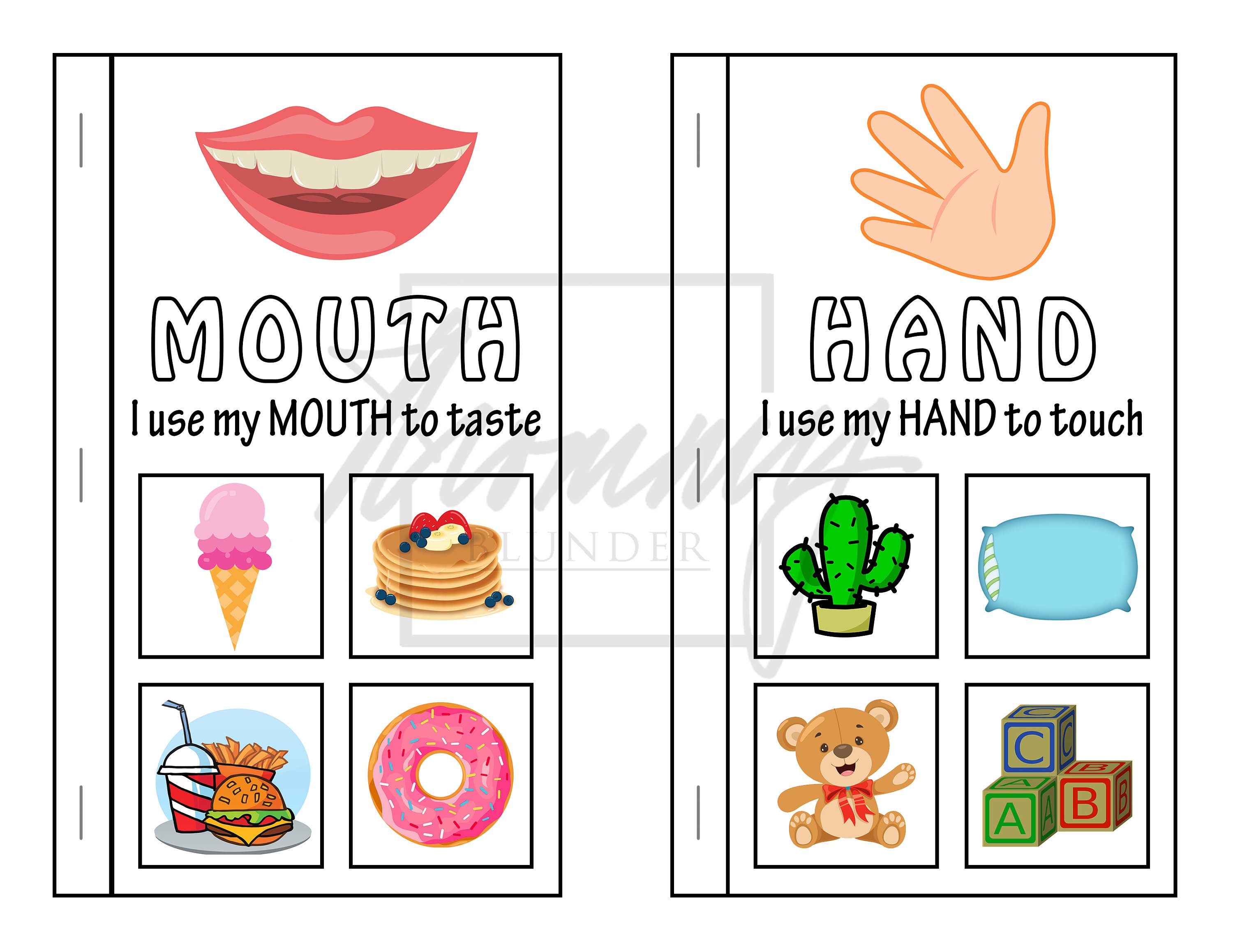 My 5 Senses Mini Book Bonus Anchor Chart Learning About - Etsy Australia