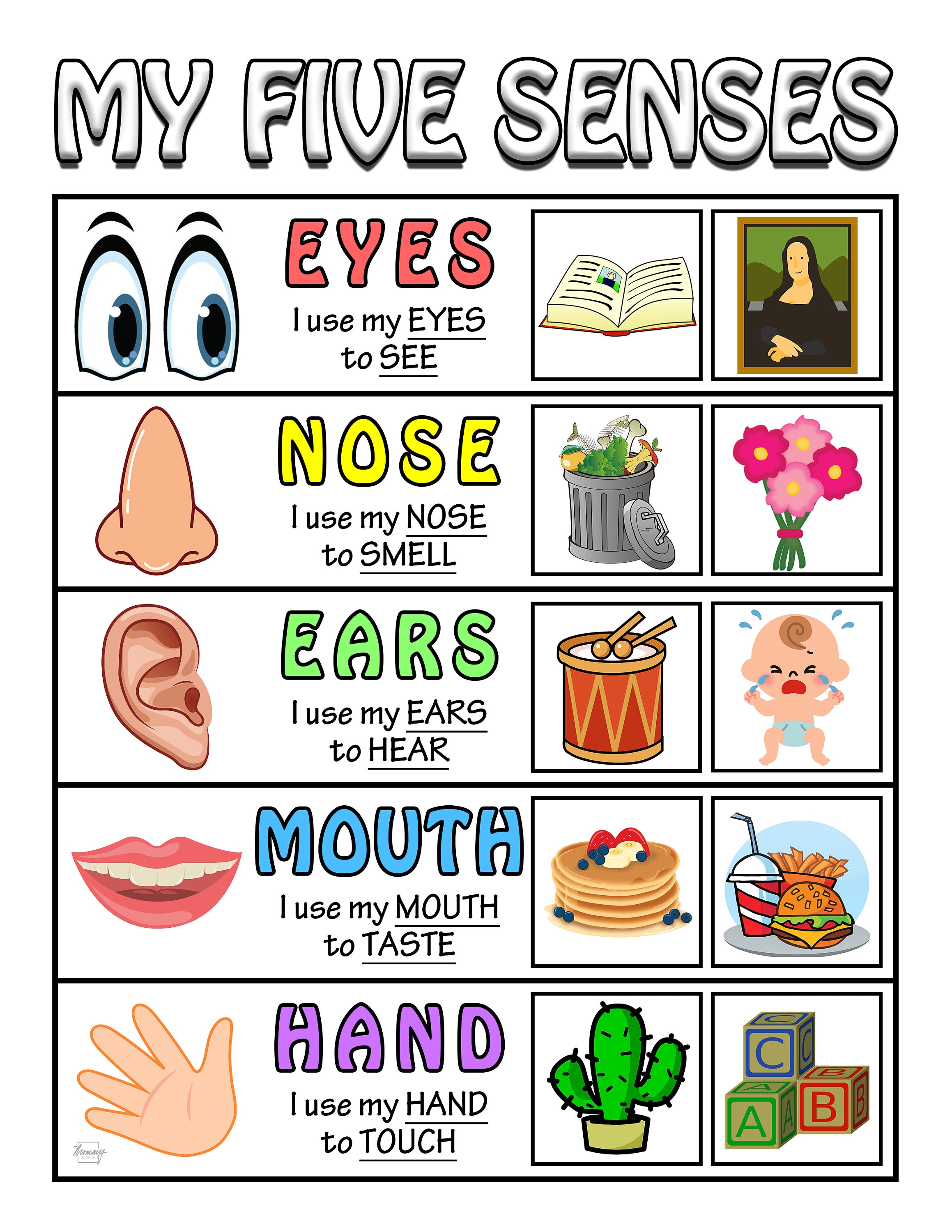 My 5 Senses Mini Book Bonus Anchor Chart Learning About - Etsy Australia