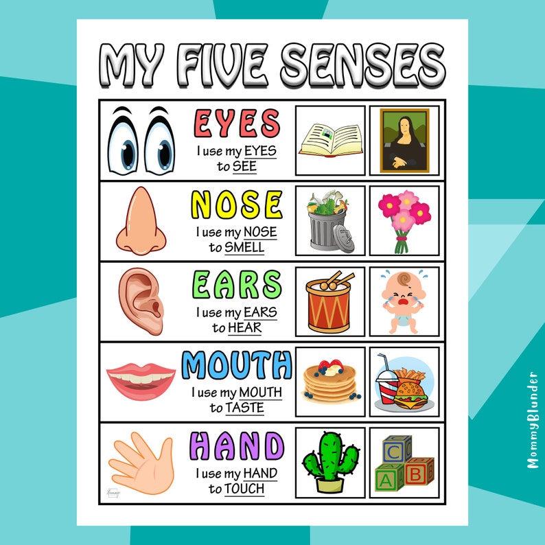 My 5 Senses Mini Book Bonus Anchor Chart Learning About - Etsy Australia