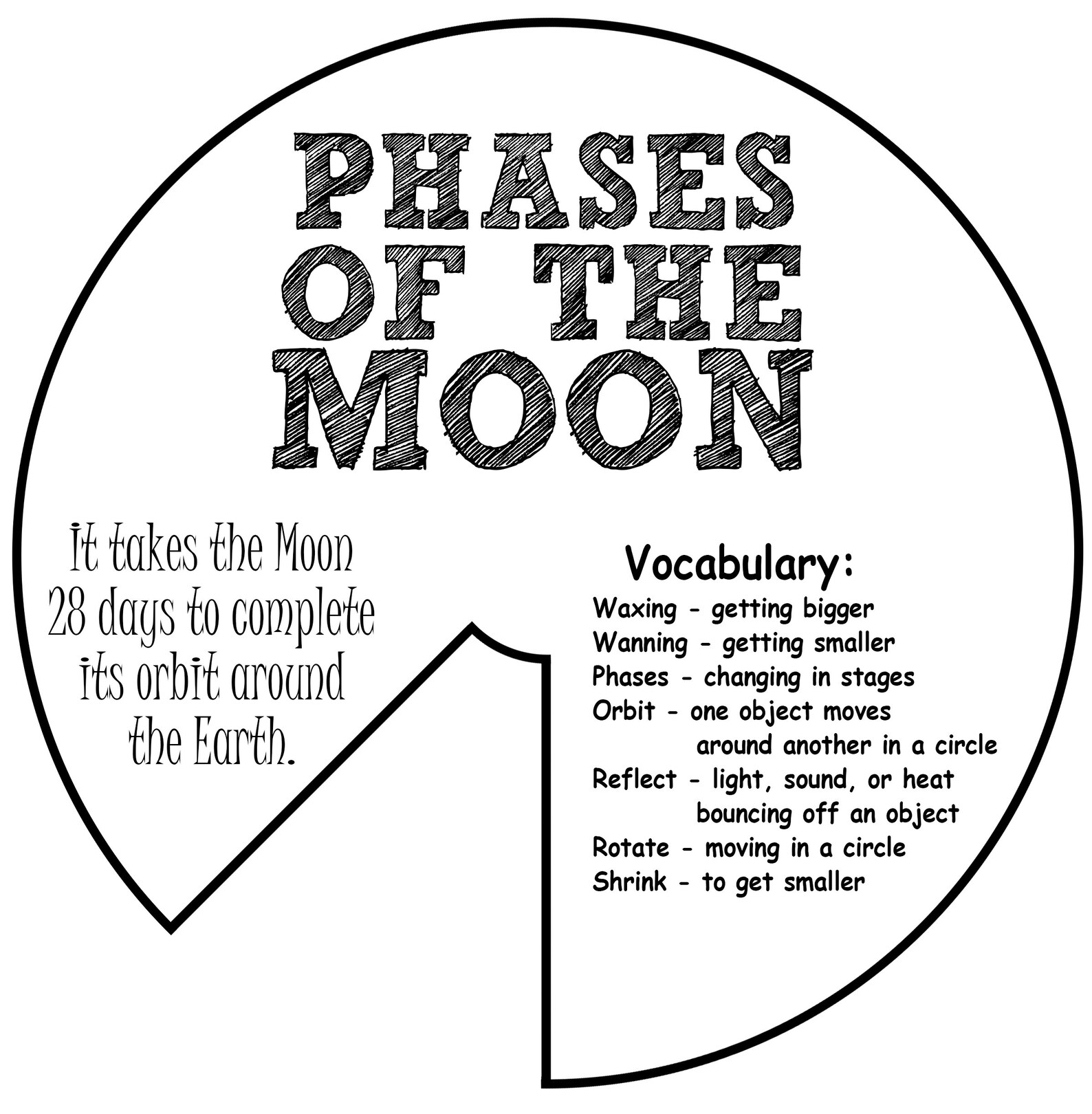 Phases of the Moon | Anchor Chart | Spinner | Colored & Black and White ...