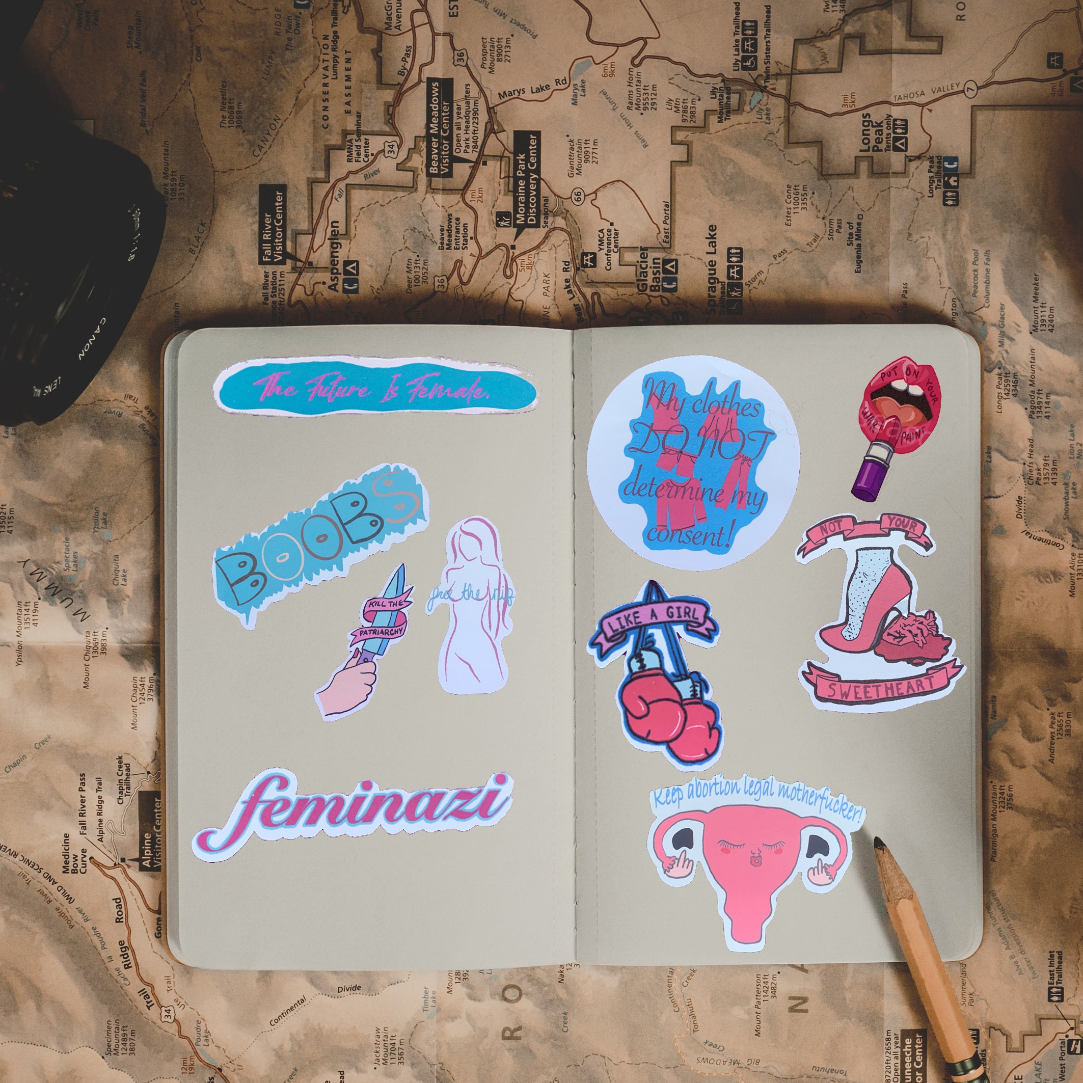 Feminist Sticker Pack Pegatinas Feministas Brillantes Etsy