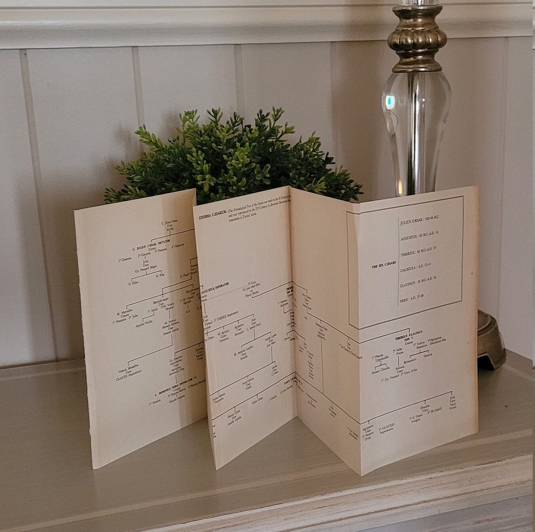 Vintage Ephemera Julius Caesar Family Tree, Beige Scrapbooking Paper ...