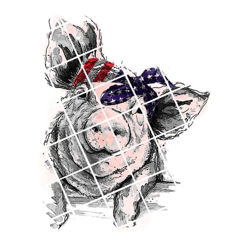 Pig Patriotic Flag Fourth of July Ready to Press Sublimation Transfer ...