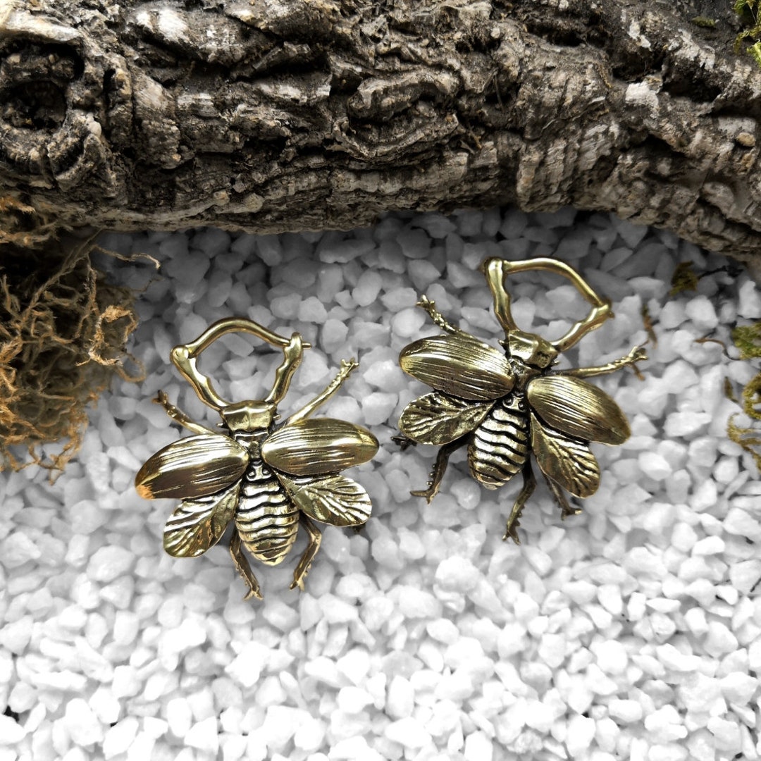 STAG BEETLE Weights, Gold-colored Brass Earweights in the Shape of a ...