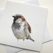 Sparrow Card Garden Bird Card House Sparrow Card Bird - Etsy UK