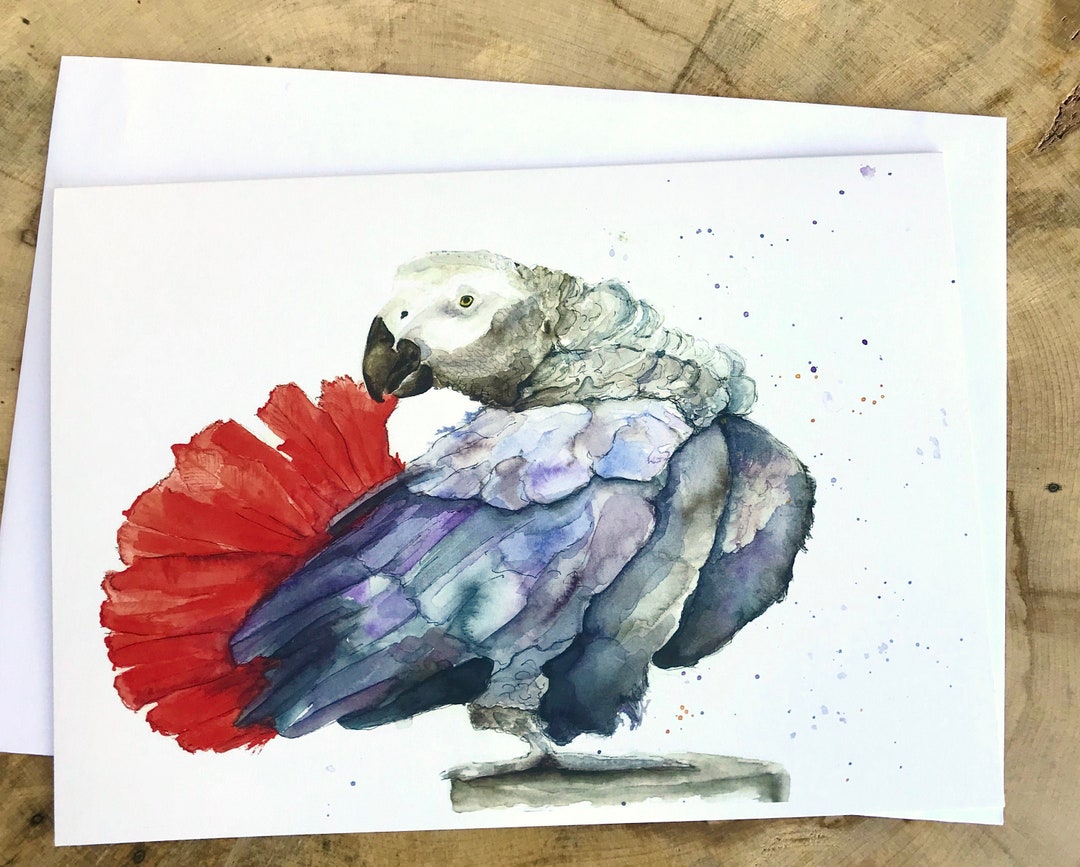 Parrot Card - Parrot Birthday Card - Colourful Greetings Card - Blank ...