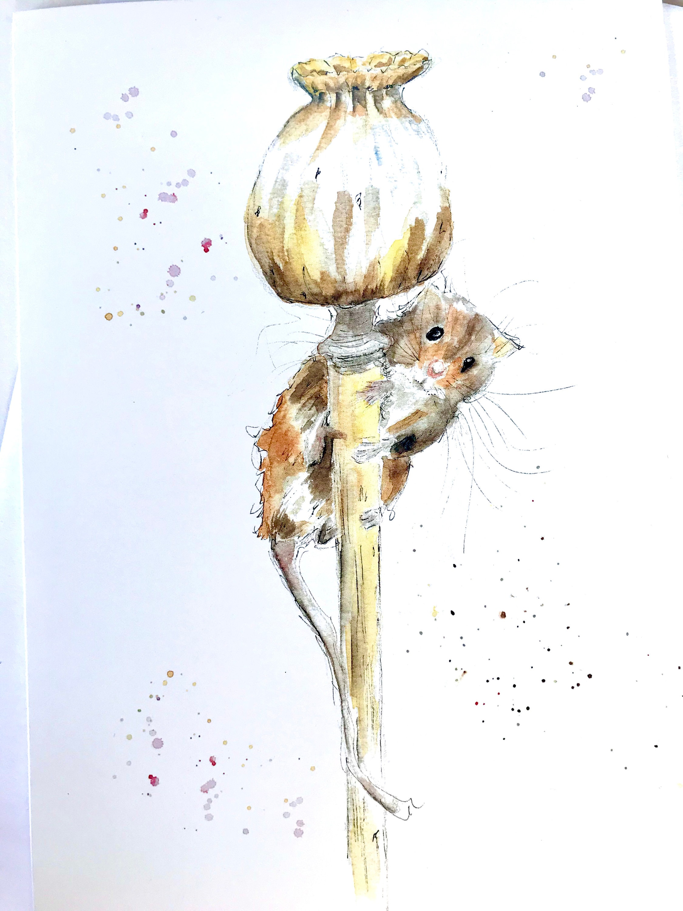 Cute Mouse Card Mouse Greetings Card Countryside Art Card - Etsy