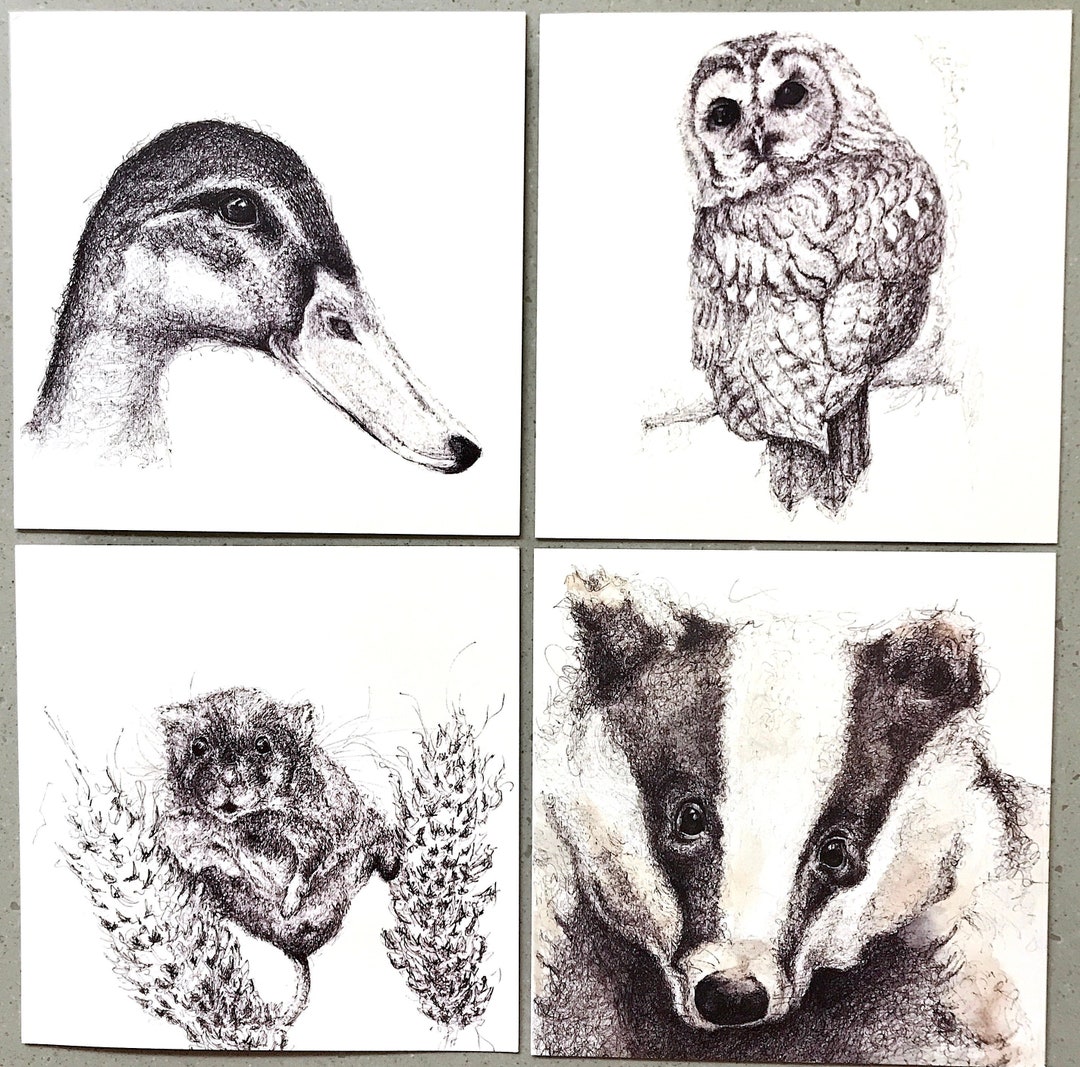 Woodland Animal Art Cards: Owl, Duck, Badger, Mouse - Multipack - Etsy