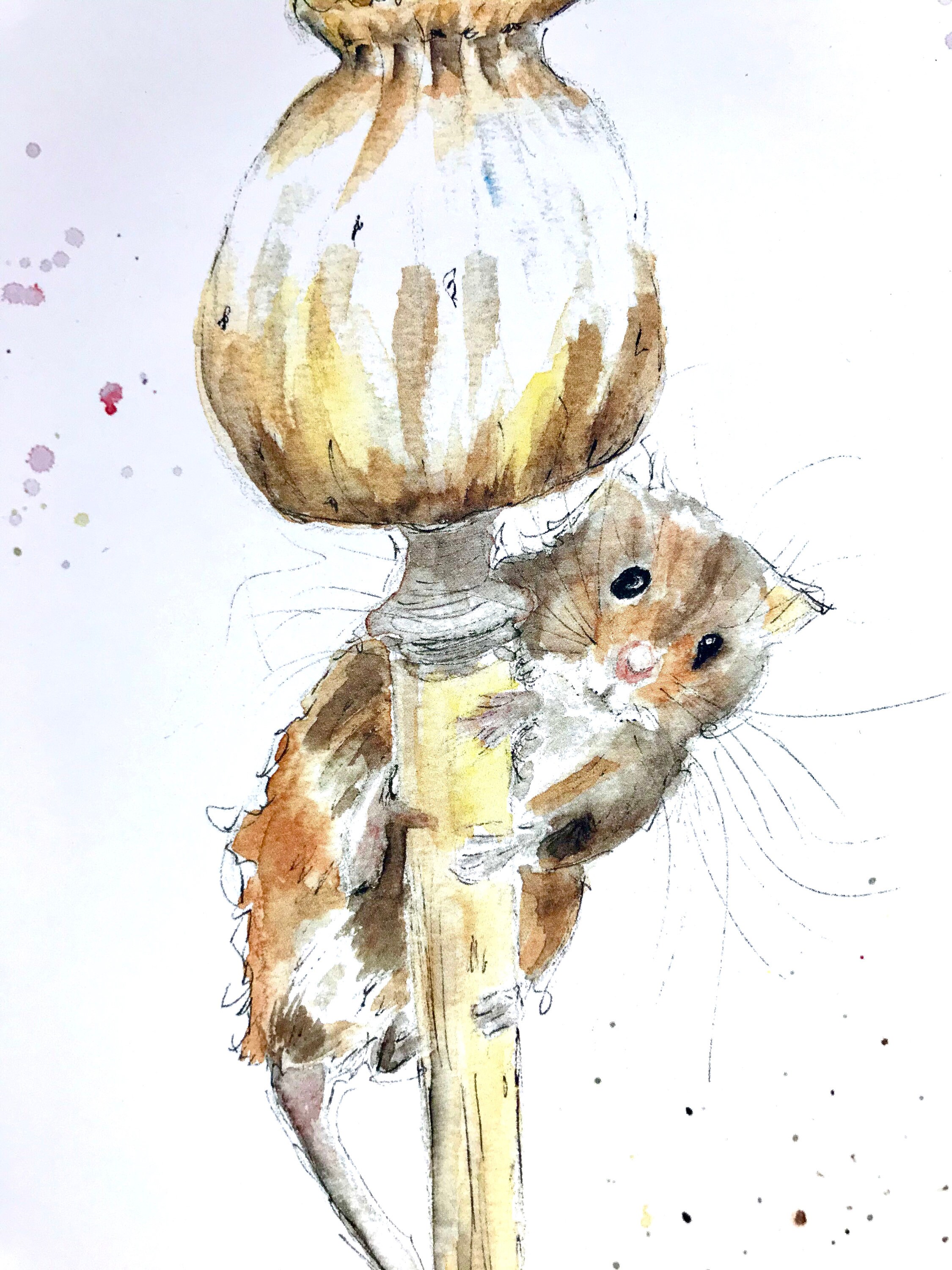 Cute Mouse Card Mouse Greetings Card Countryside Art Card Blank Mouse ...