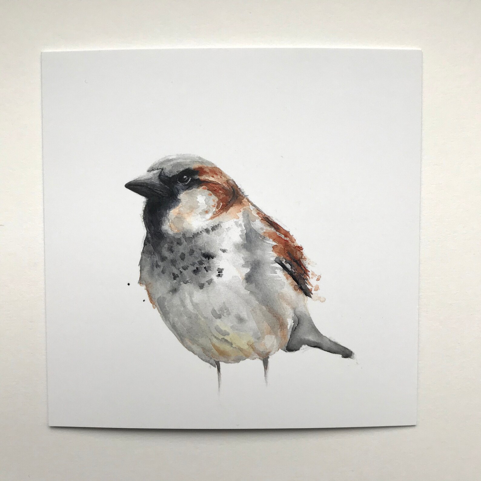 Sparrow Card Garden Bird Card House Sparrow Card Bird - Etsy UK