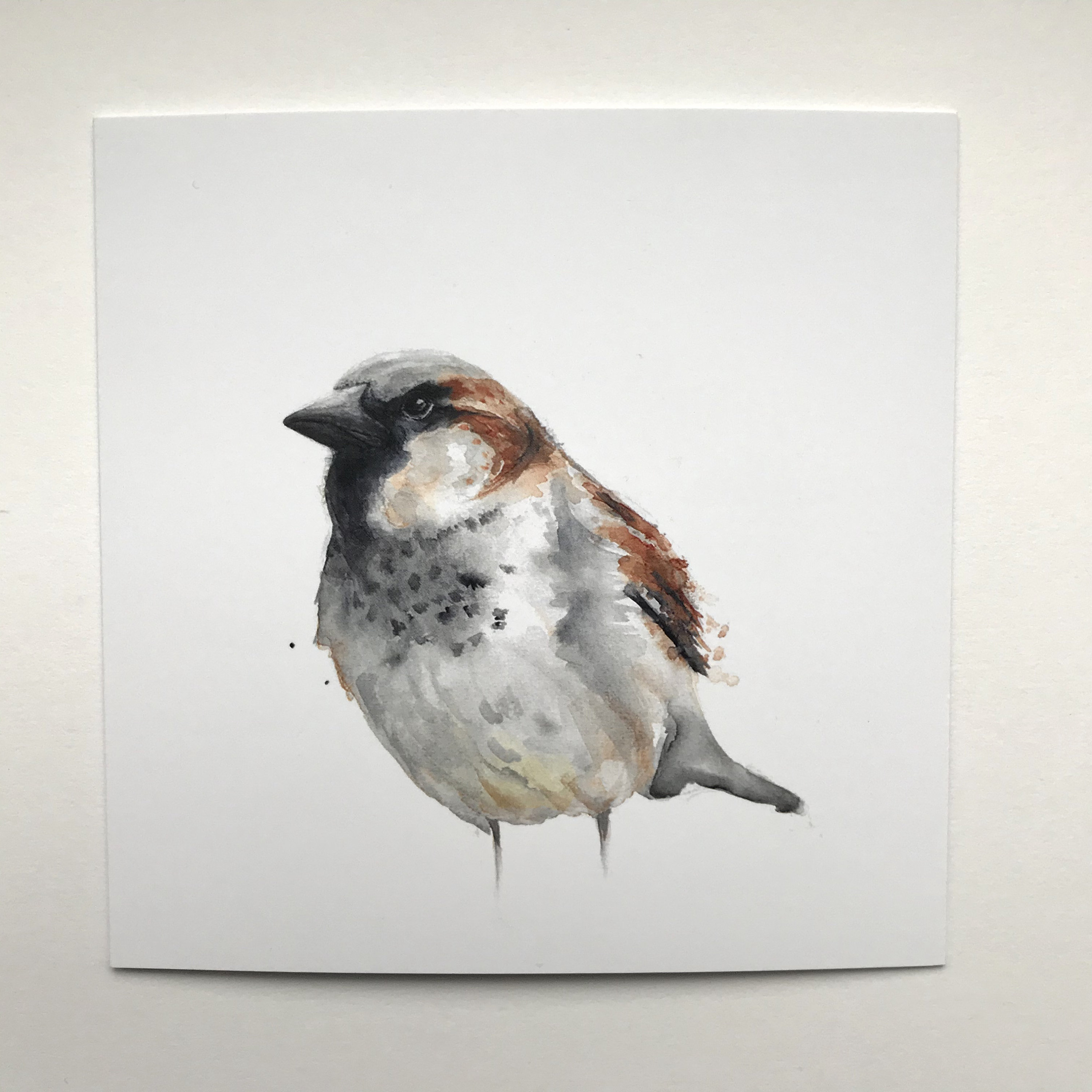Sparrow Card Garden Bird Card House Sparrow Card Bird - Etsy UK
