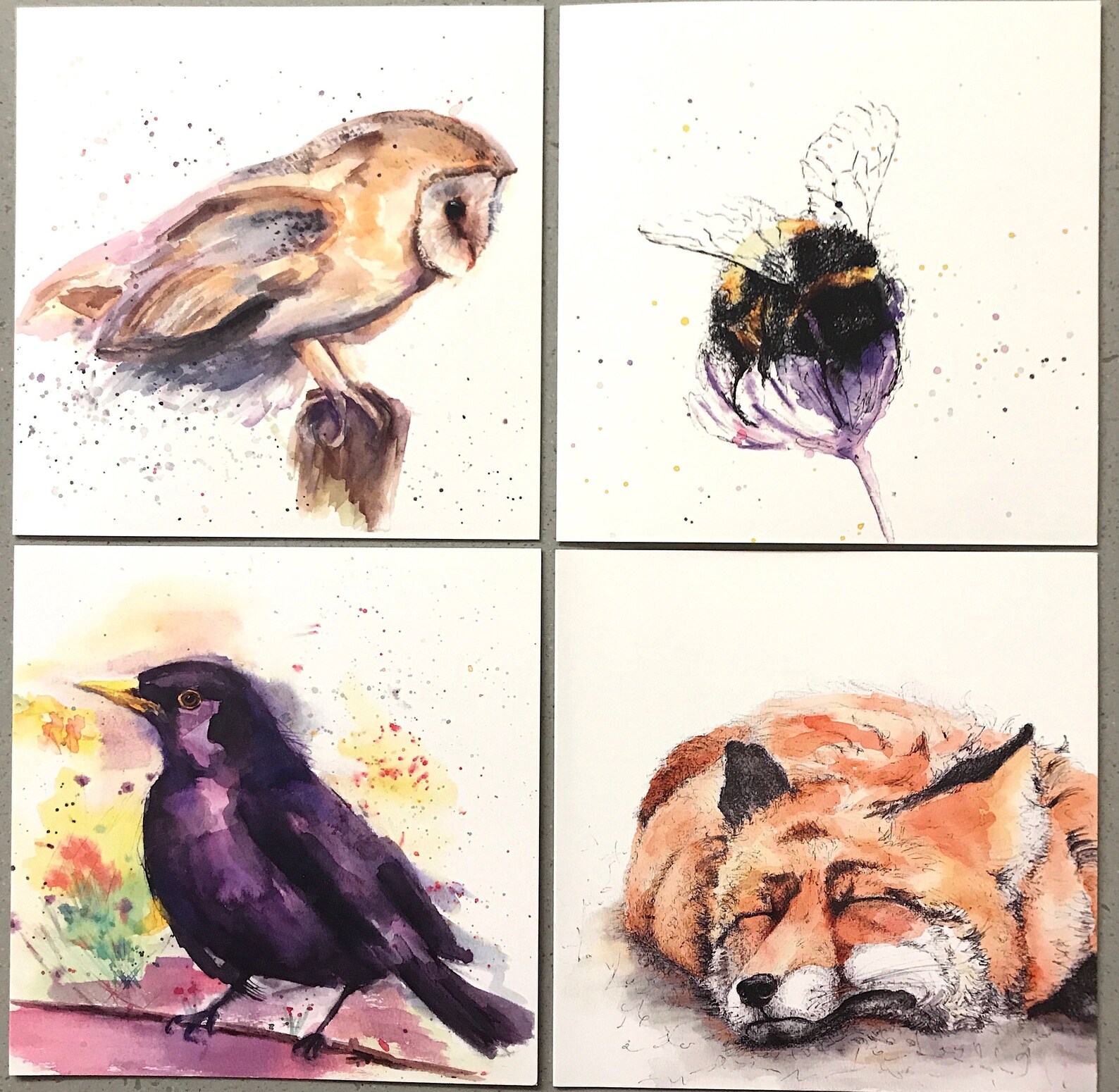 Mixed Wildlife Cards Assorted Animal Cards Animal Art - Etsy