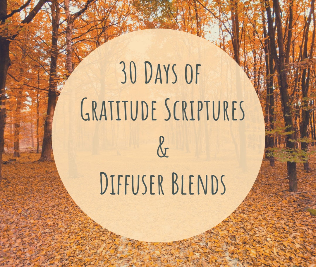 Gratitude Diffuser Blends for November - Etsy