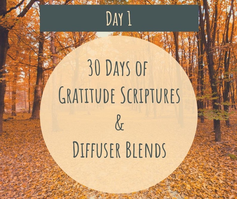 Gratitude Diffuser Blends for November - Etsy