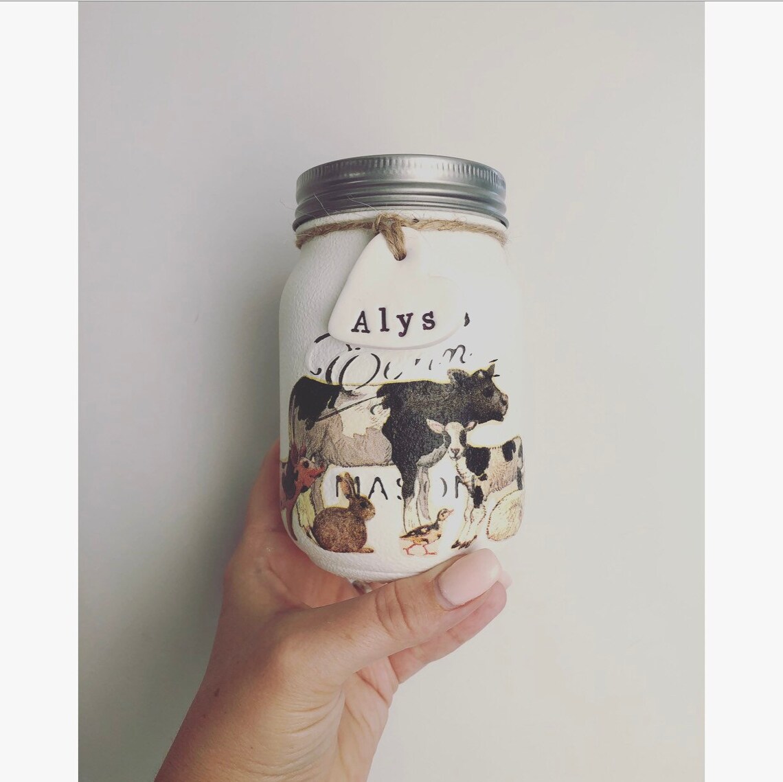 Farm Animals Mason Jar Hand Decorated Money Bank Savings - Etsy