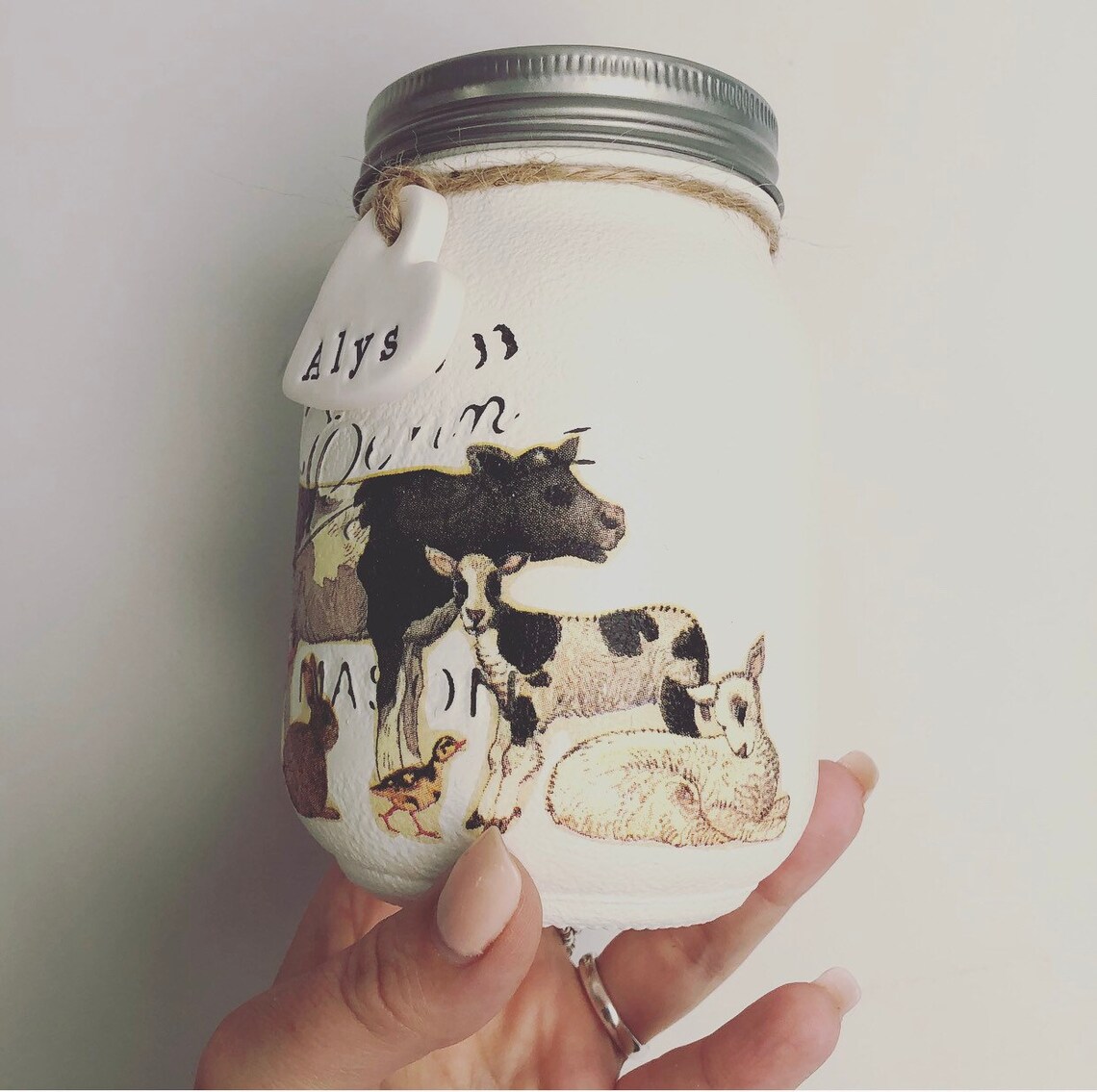 Farm Animals Mason Jar Hand Decorated Money Bank Savings - Etsy