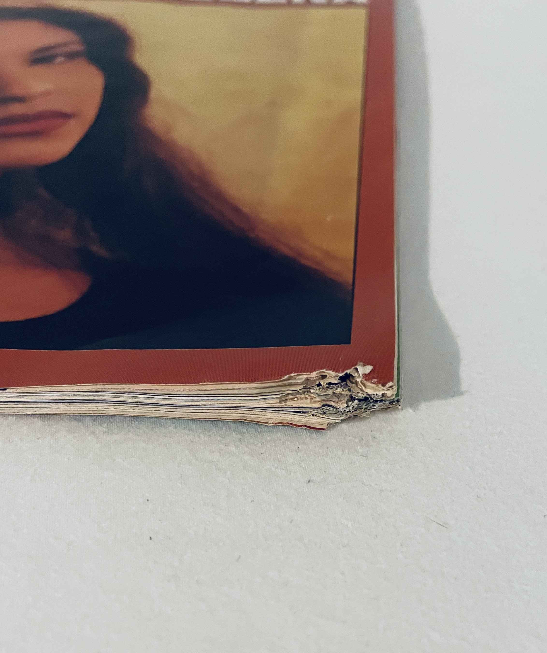 Selena Quintanilla Perez 1995 People Magazine Vintage Music Memorabilia ...