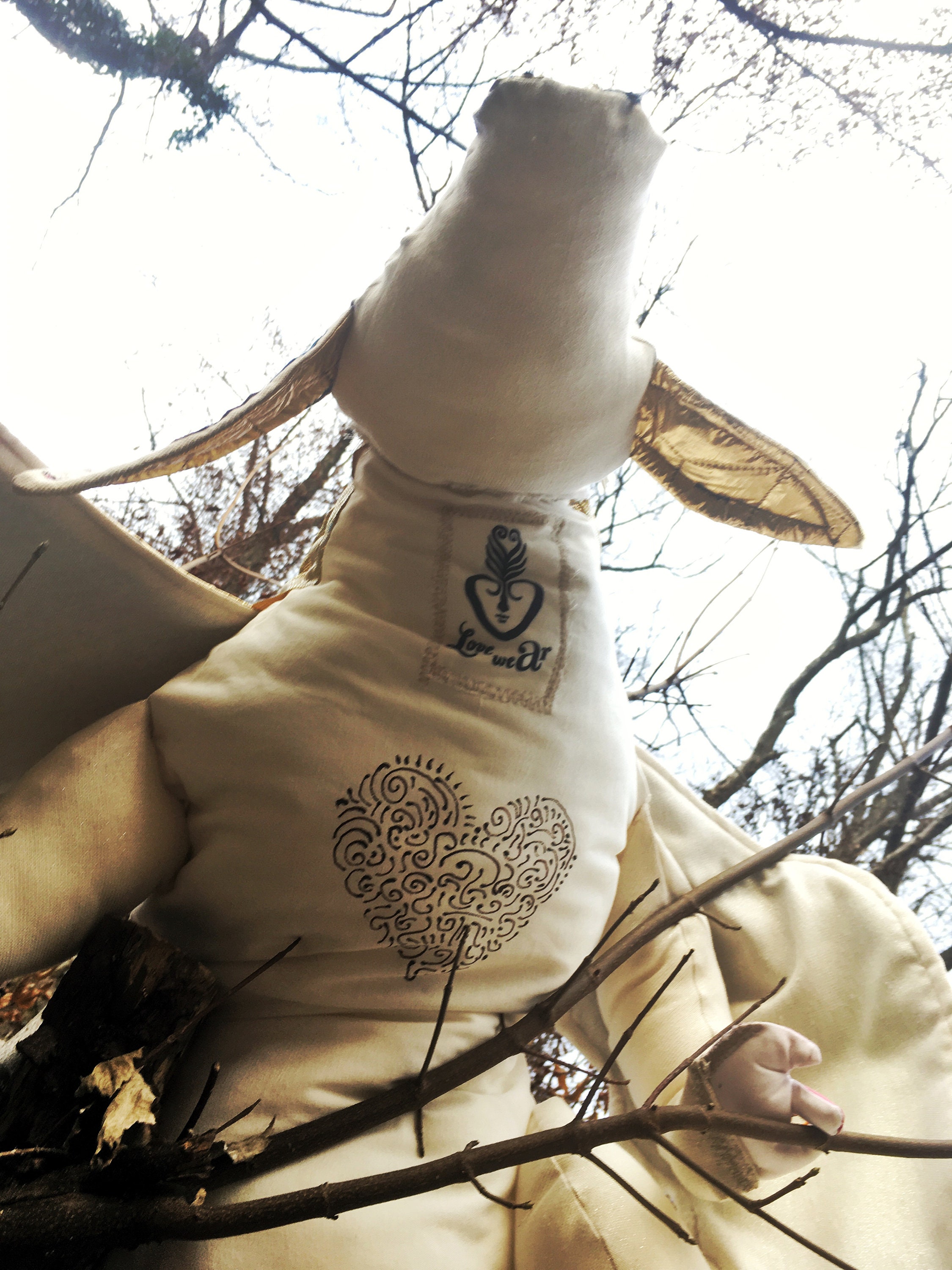 Dragon, Unique, Plushy, Animal, Mystical, Creature, Fairytale, Fantasy ...