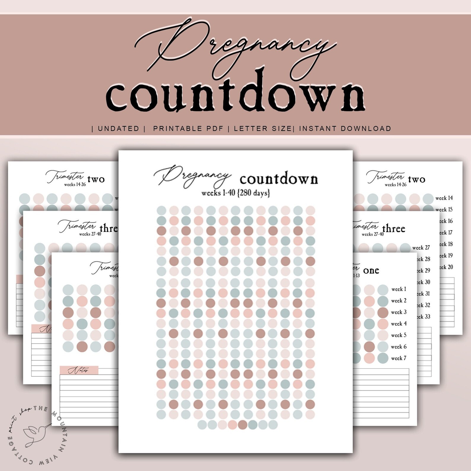 Pregnancy Planner Countdown New Mom Planner Baby Countdown - Etsy