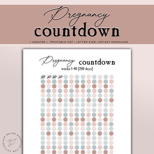 Pregnancy Planner Countdown, New Mom Planner, Baby Countdown, Hospital ...
